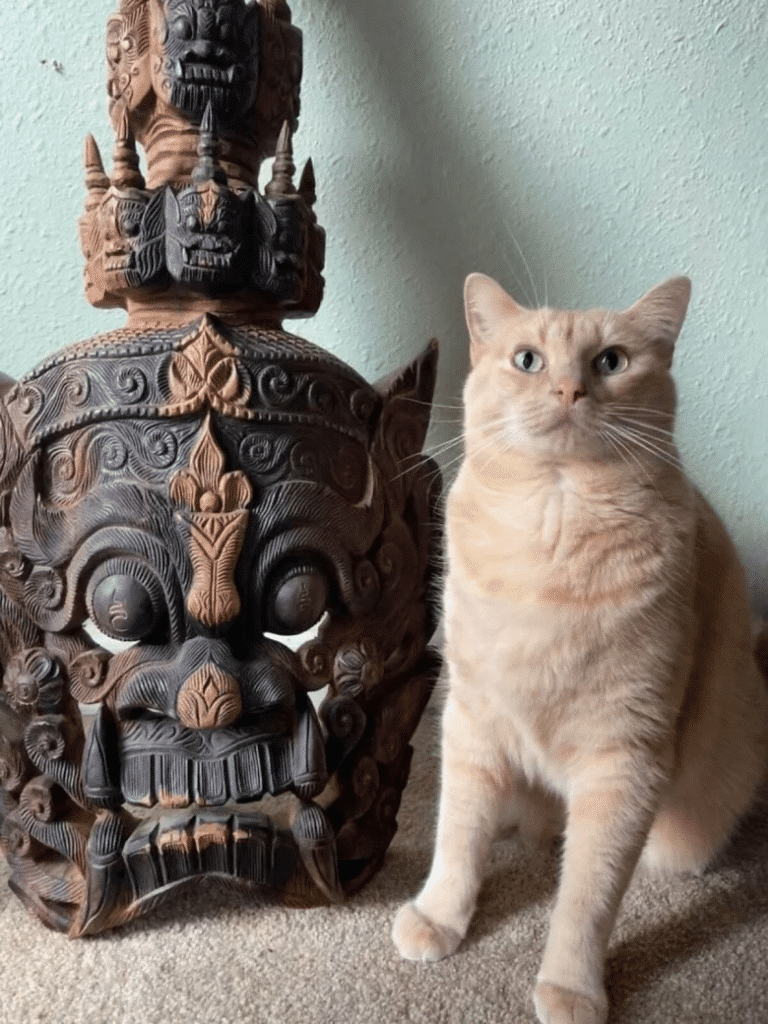 20 photos proving why ginger cats are truly special - Belles and Gals