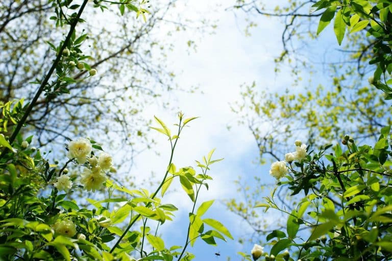 Spring Equinox 2026: Unveiling the Astronomical Event's Meaning and ...